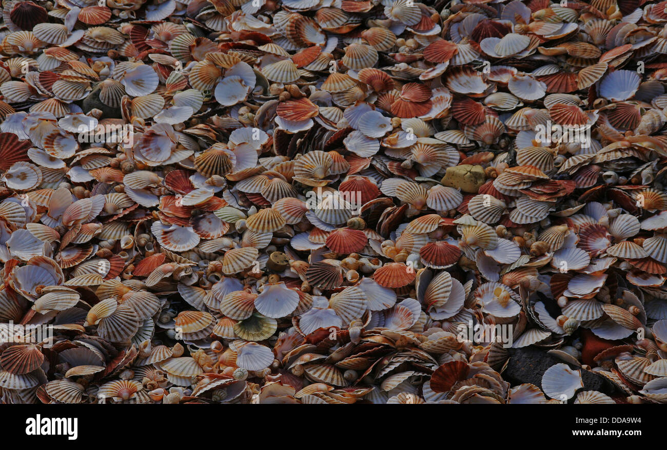 Green intermingling shapes hi-res stock photography and images - Alamy