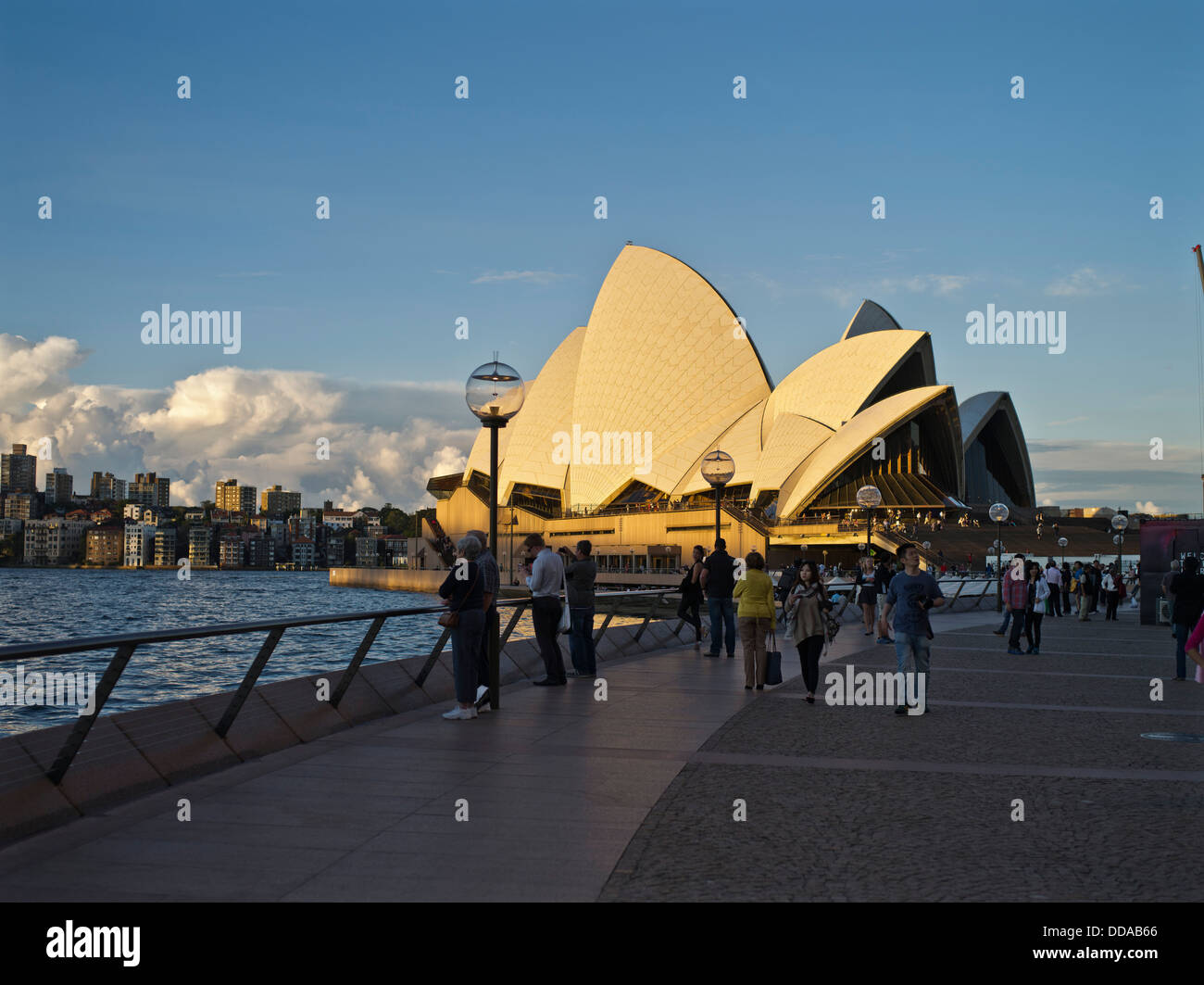 dh Sydney Harbour promenade SYDNEY AUSTRALIA People strolling evening ...