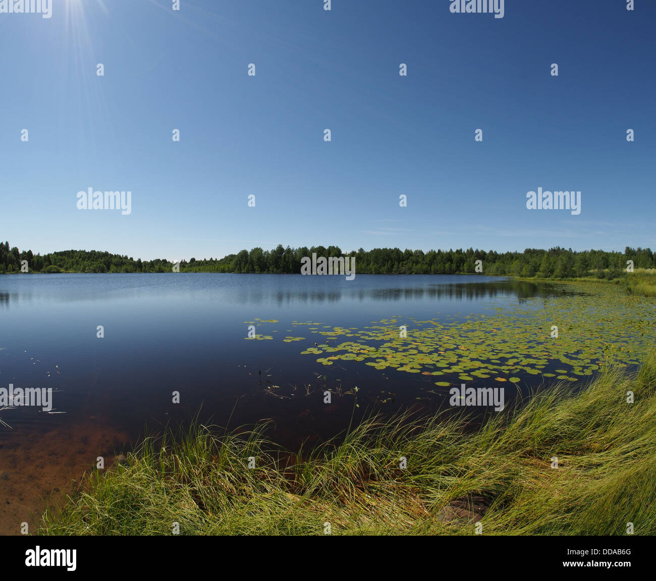 Fleck lake hi-res stock photography and images - Alamy
