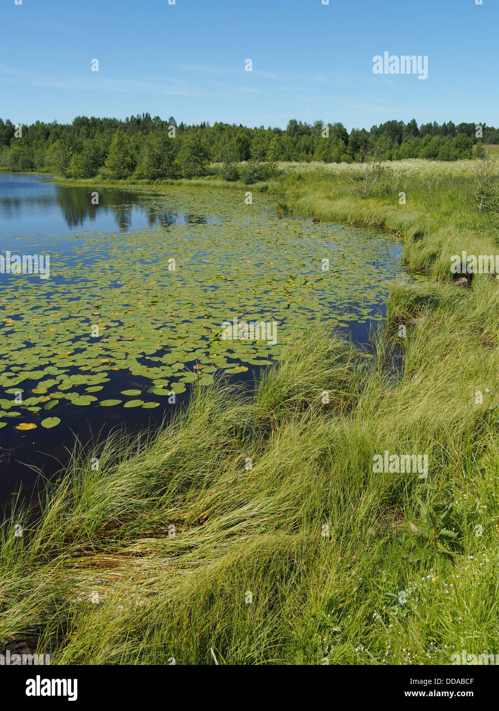 Fleck lake hi-res stock photography and images - Alamy