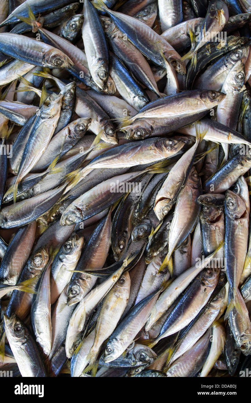 Fresh small fish background on the market Stock Photo - Alamy