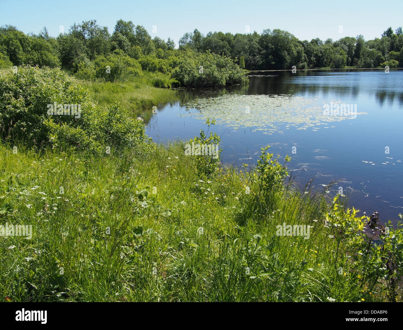 Fleck lake hi-res stock photography and images - Alamy