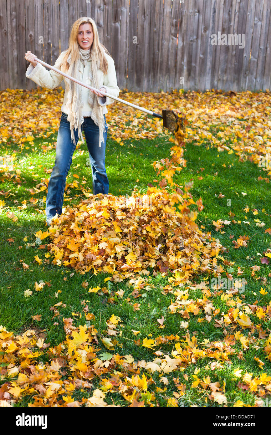 Beautiful woman outdoors raking leaves in autumn with golden colors ...