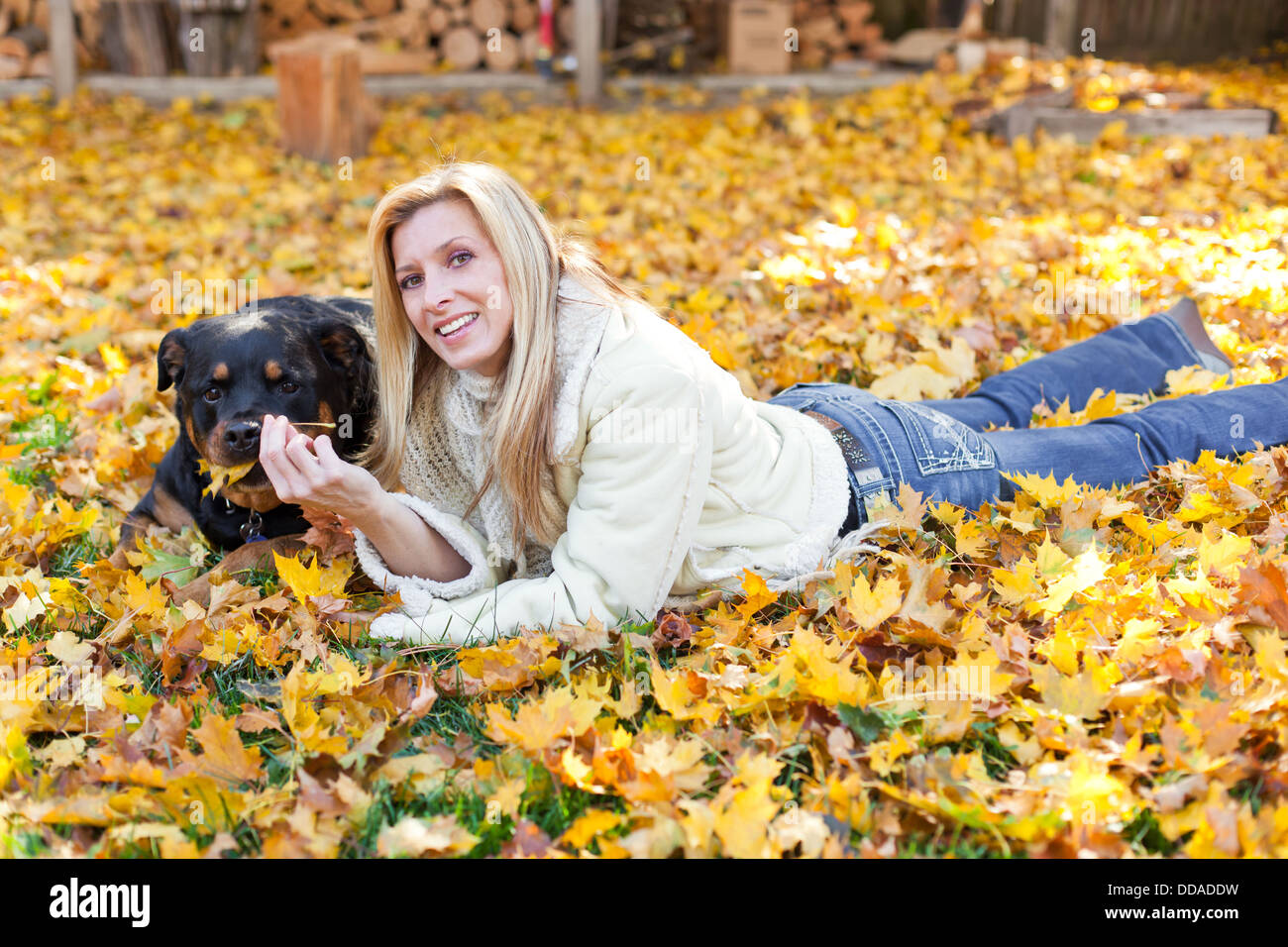woman and her dog outdoors laying on golden autumn leaves Stock Photo ...