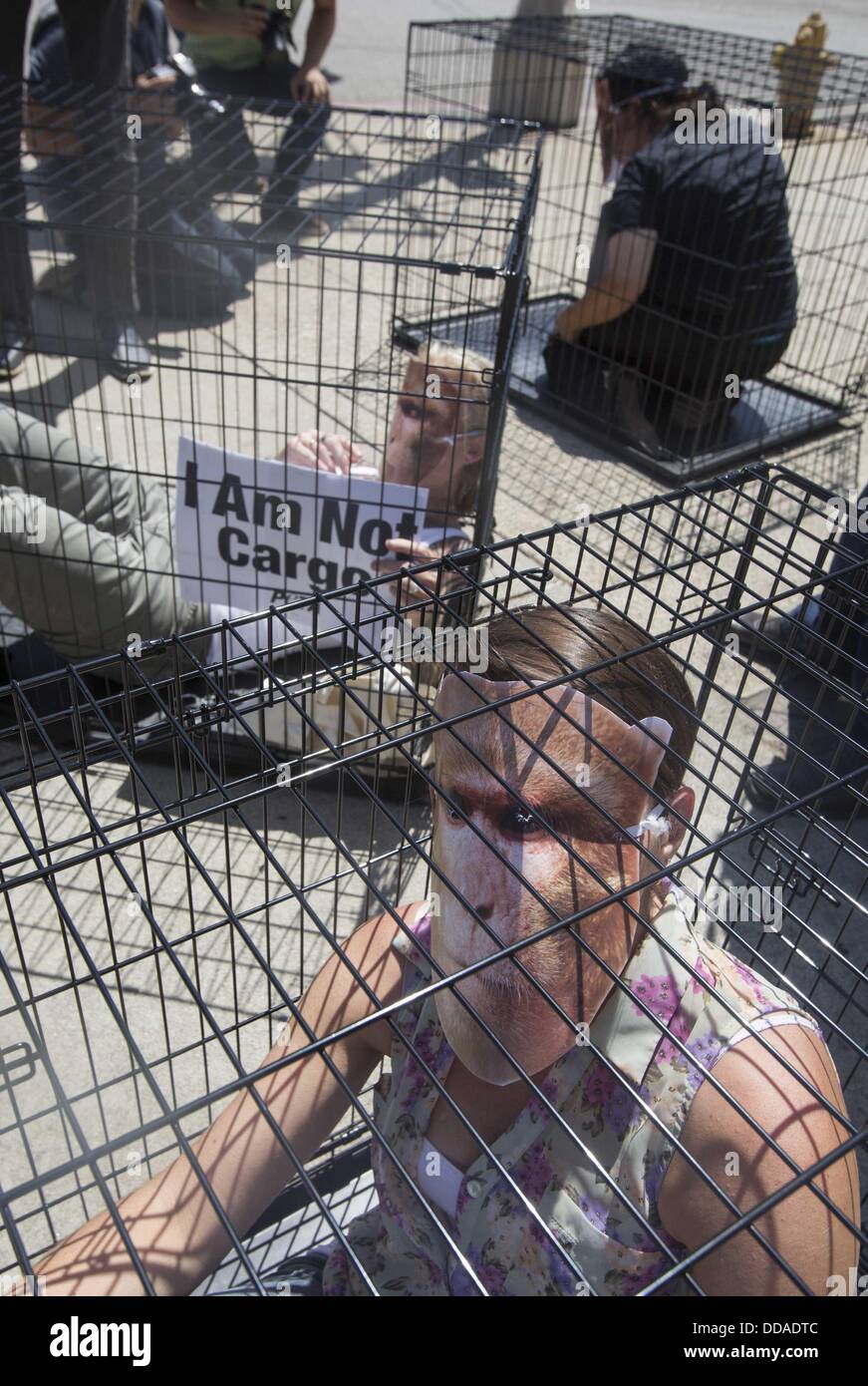 Cages monkeys in cage hi-res stock photography and images - Alamy