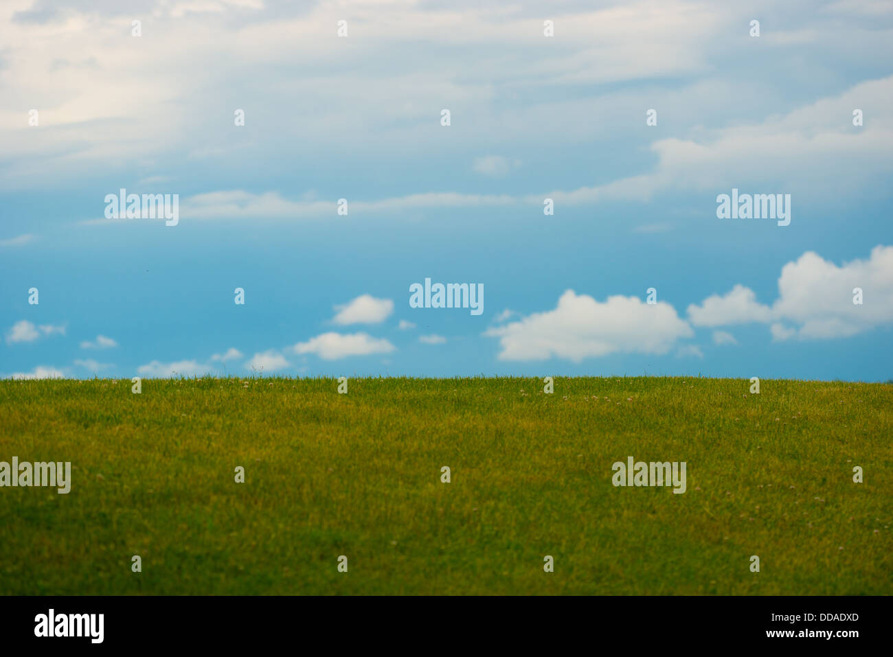 Empty field hi-res stock photography and images - Alamy