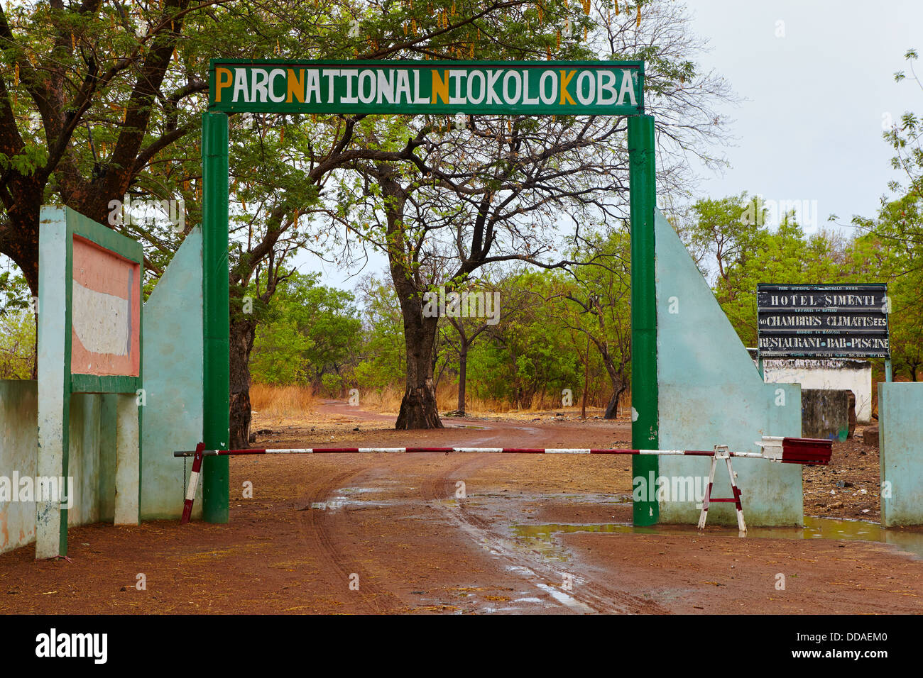 Senegal niokolo koba national park hi-res stock photography and images ...