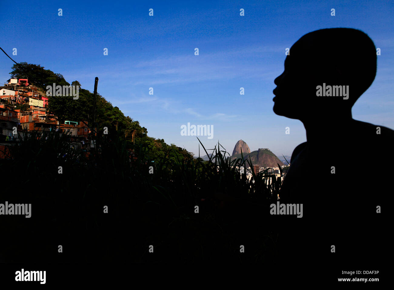 Black boy at Favela Santa Marta, Rio de Janeiro, Brazil. Sugar Loaf in ...