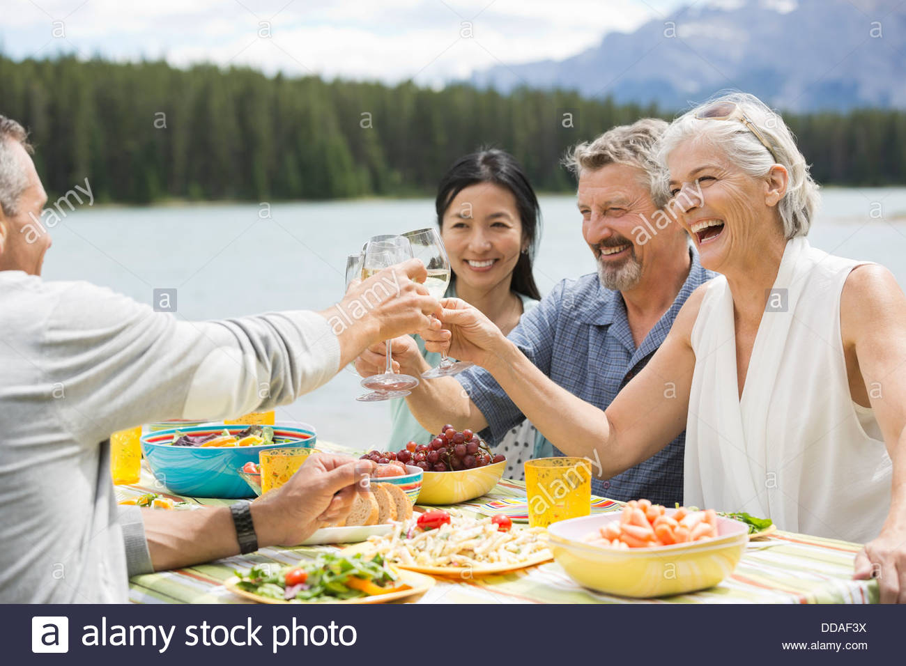 Cheerful friends toasting drinks at an outdoor picnic Stock Photo - Alamy