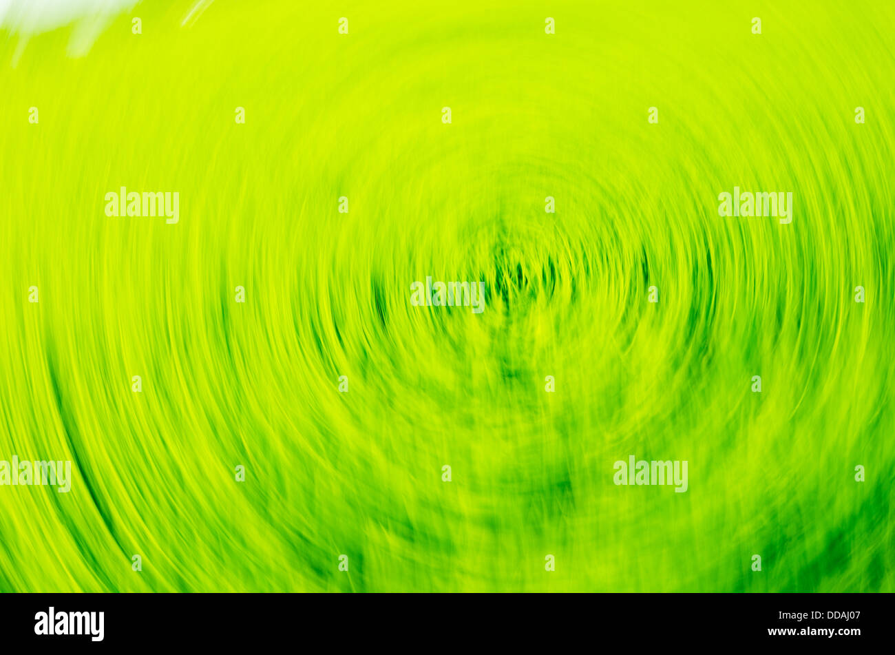 Green fuzzy hi-res stock photography and images - Alamy