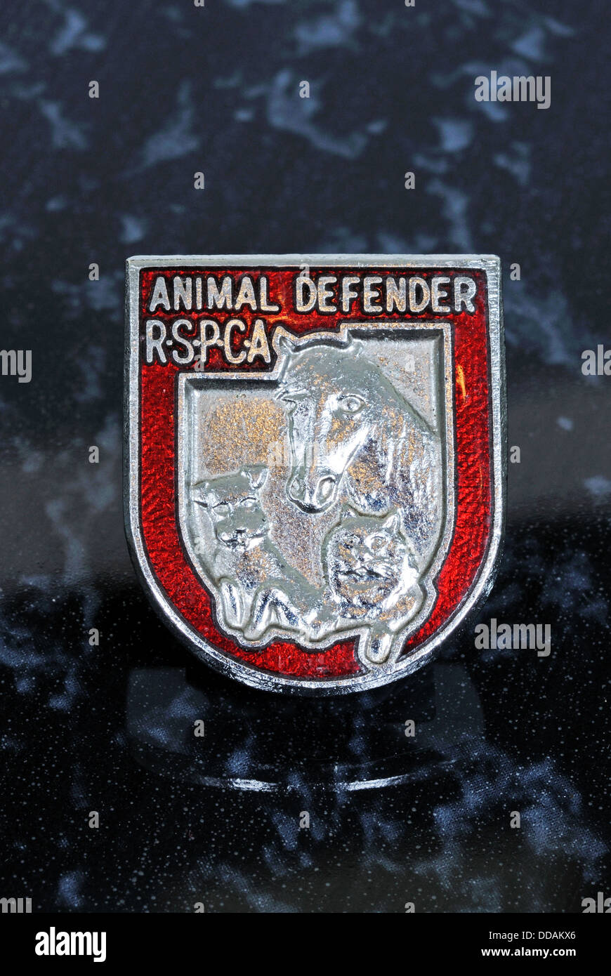 Rspca logo hi-res stock photography and images - Alamy