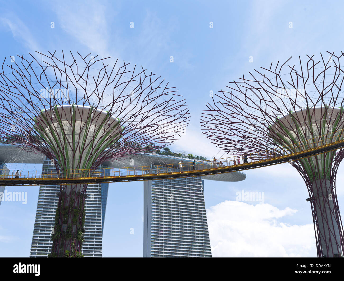 Dh garden bay singapore gardens hi-res stock photography and images - Alamy