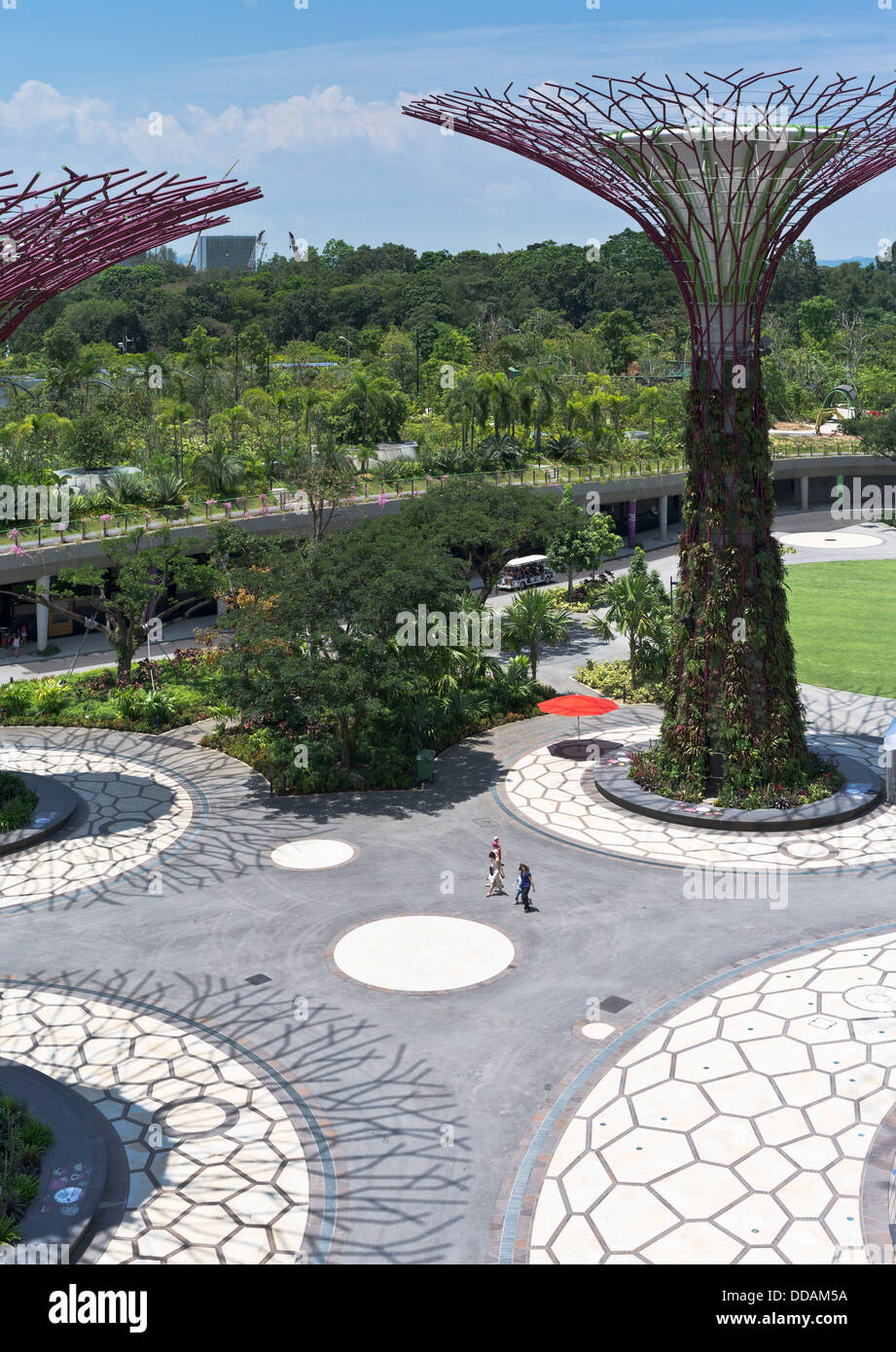 dh Supertree Grove GARDENS BY THE BAY SINGAPORE Supertrees vertical ...