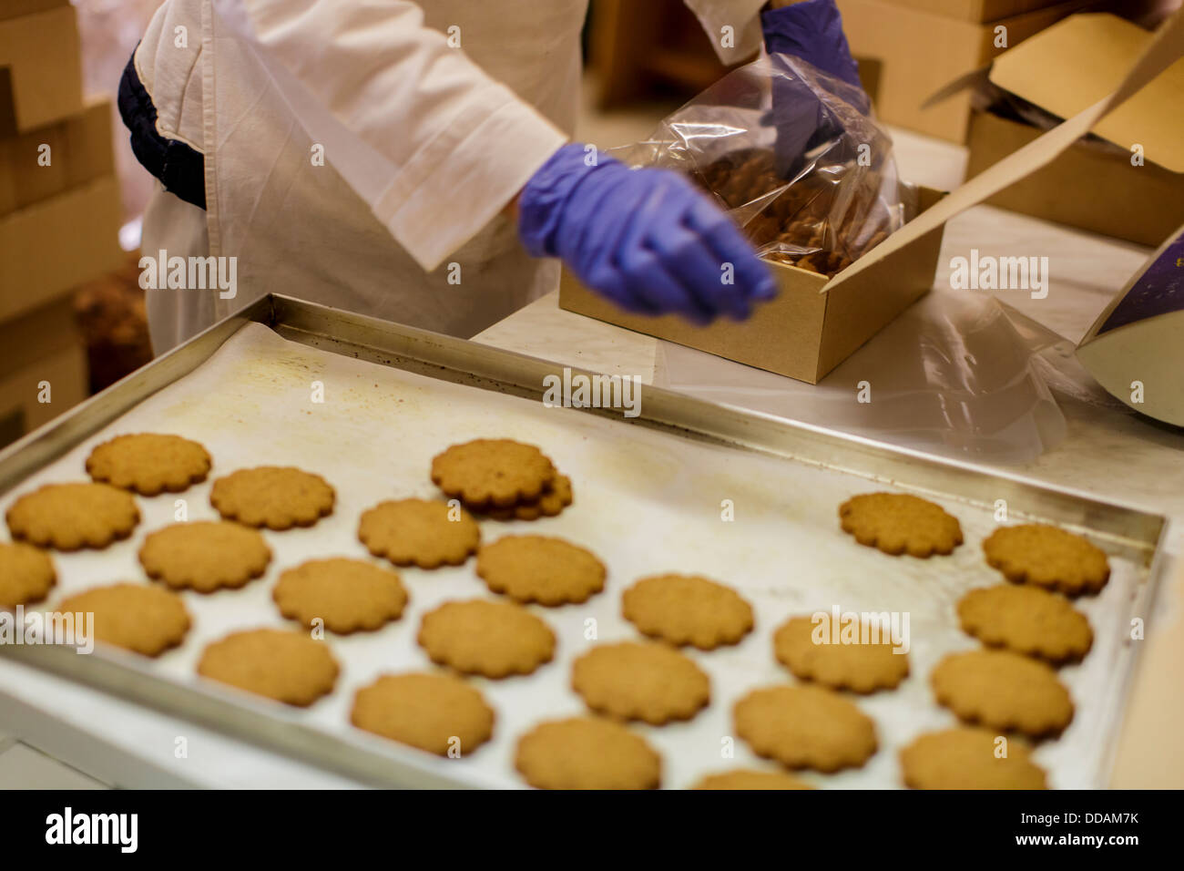 Industrial food factory bakery cookies hi-res stock photography and ...