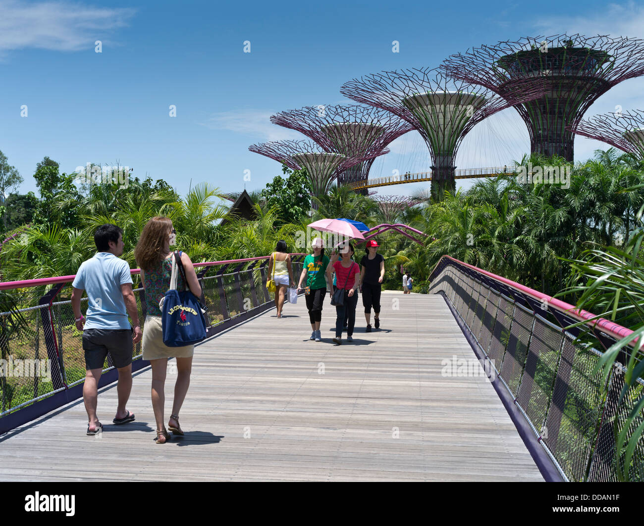 dh Supertree Grove GARDENS BY THE BAY SINGAPORE Supertrees vertical ...