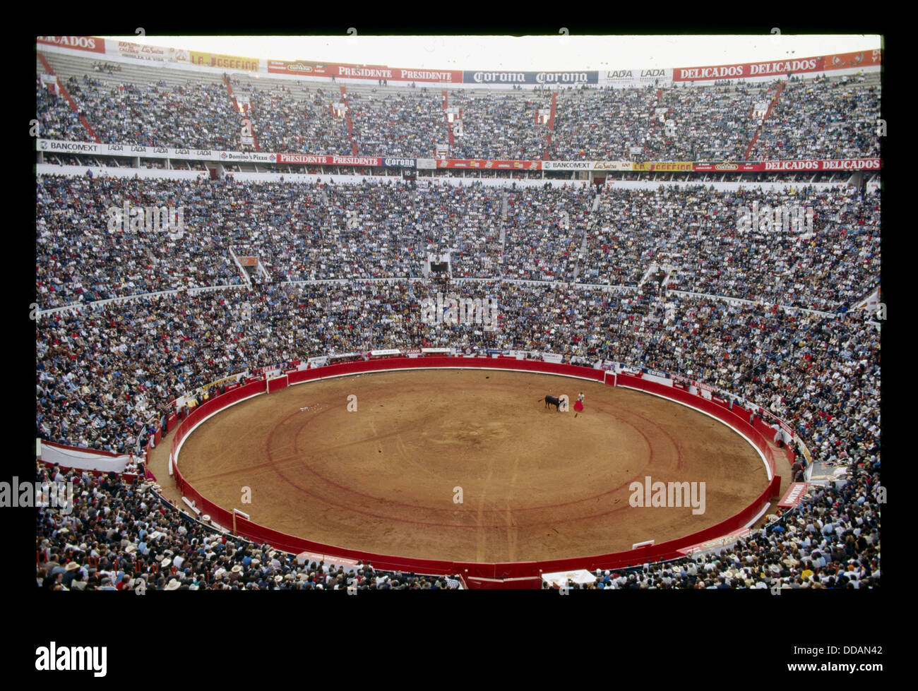 City of mexico bull fighting hi-res stock photography and images - Alamy