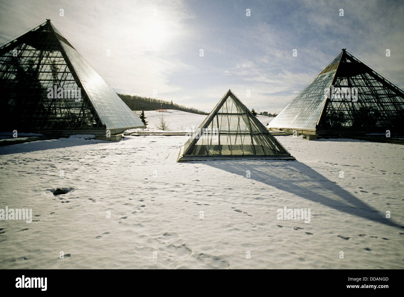Muttart Conservatory, Edmonton. Alberta, Canada Stock Photo - Alamy
