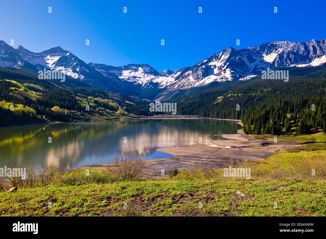 Lizard Pass High Resolution Stock Photography and Images - Alamy