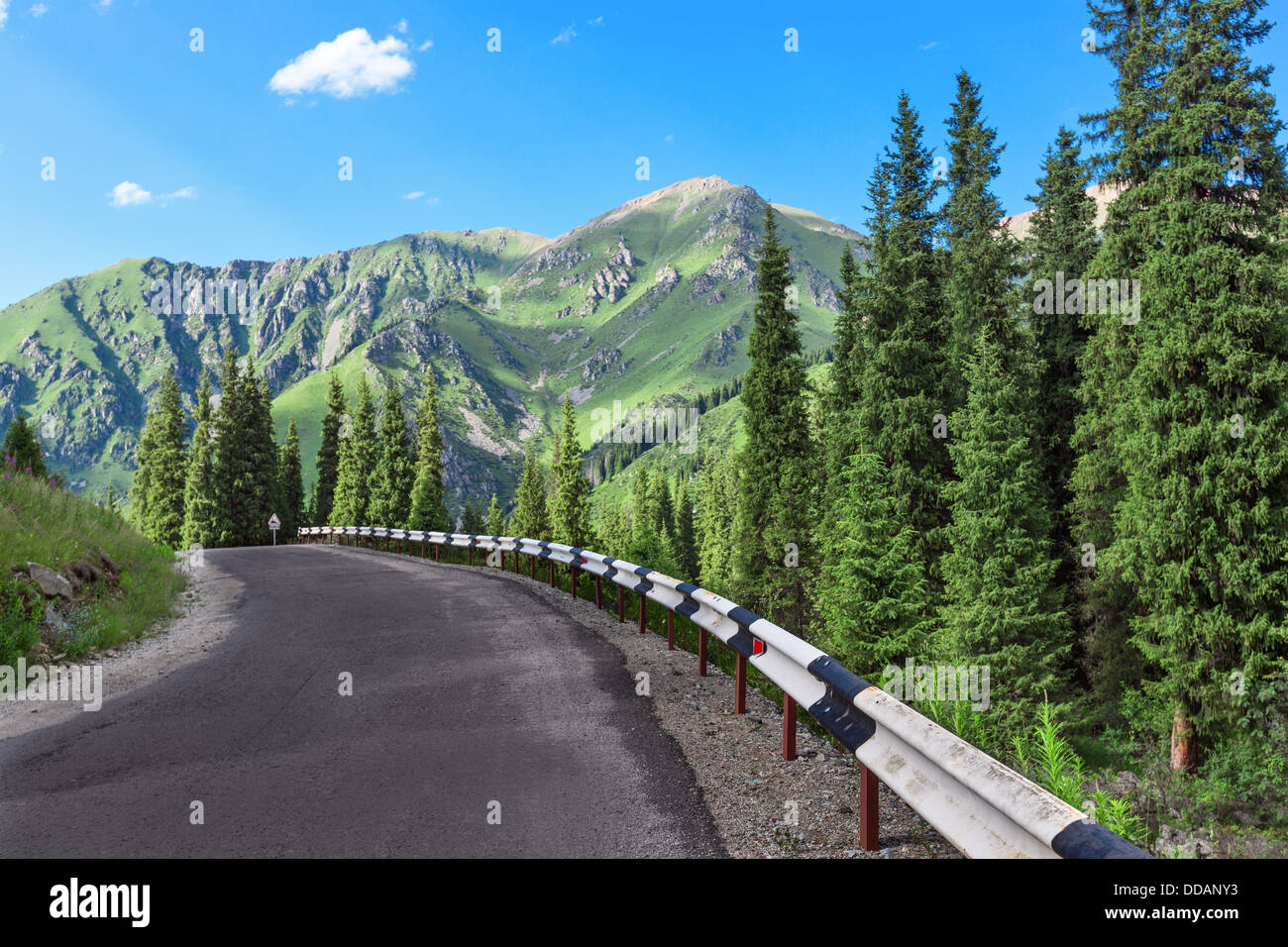 Tree outdoors road hi-res stock photography and images - Alamy