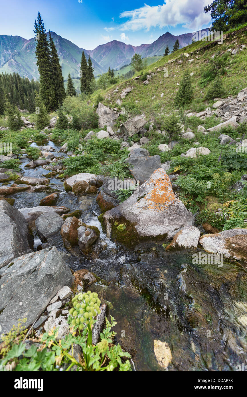 Stream rock waterfall hi-res stock photography and images - Alamy