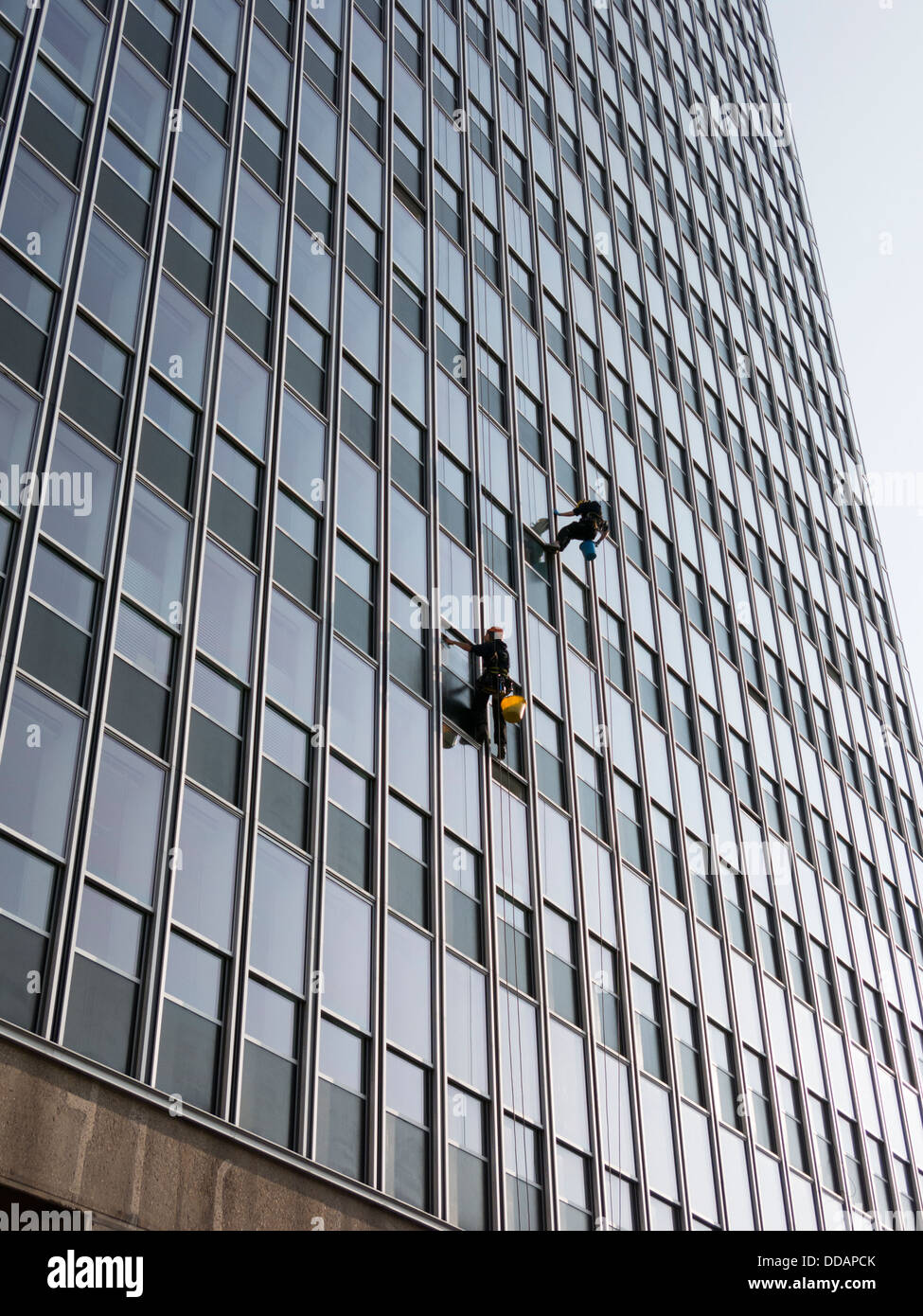 Window cleaners working on high rise tower block abseiling on the ...