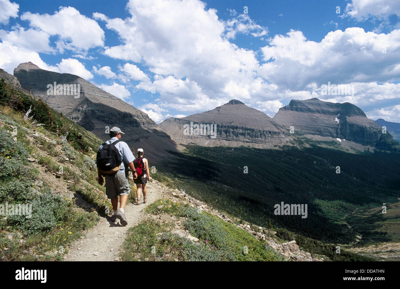 Piegan Pass High Resolution Stock Photography and Images - Alamy