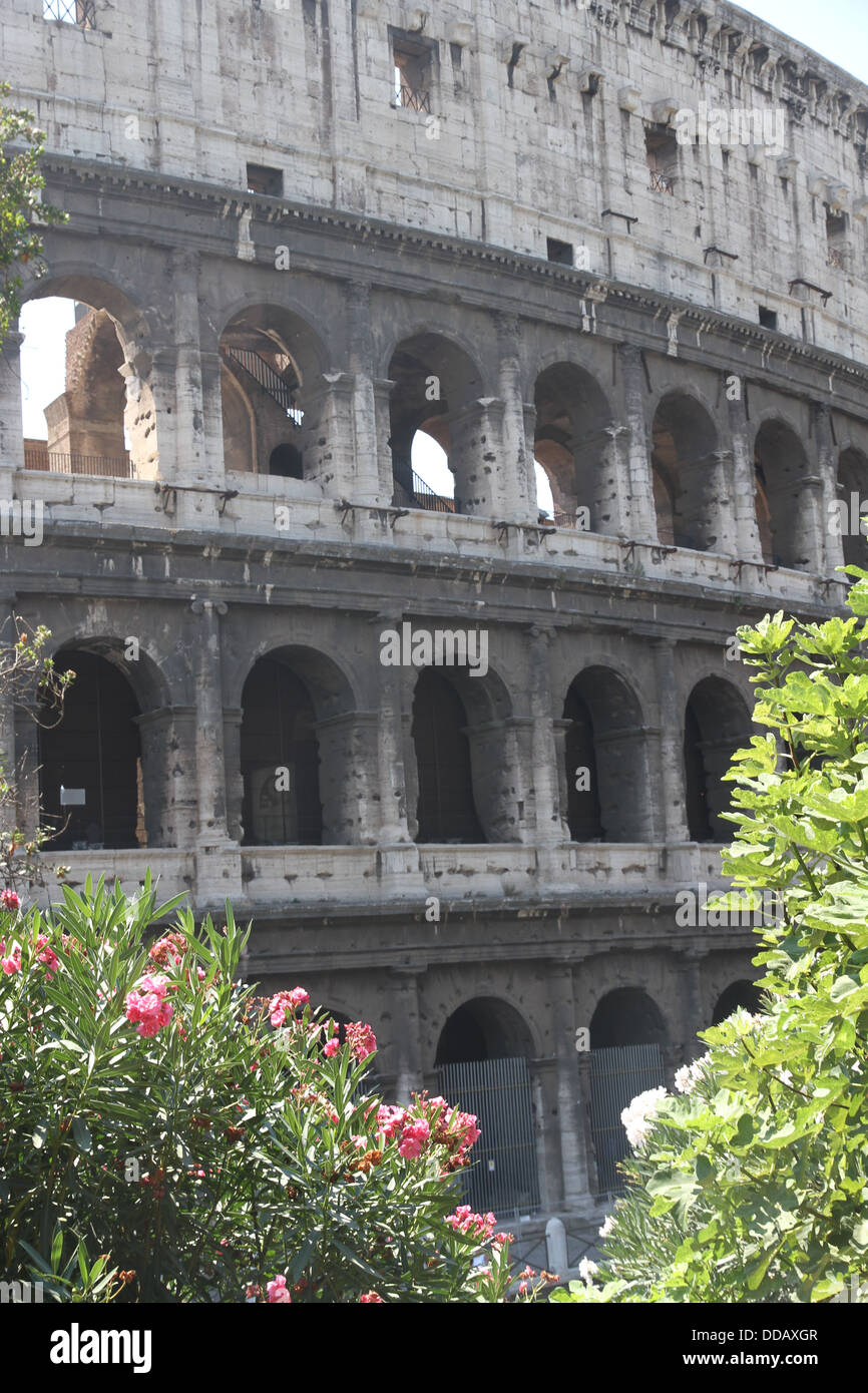 Arches of the imposing Colosseum among flowering plants of Oleander in ...