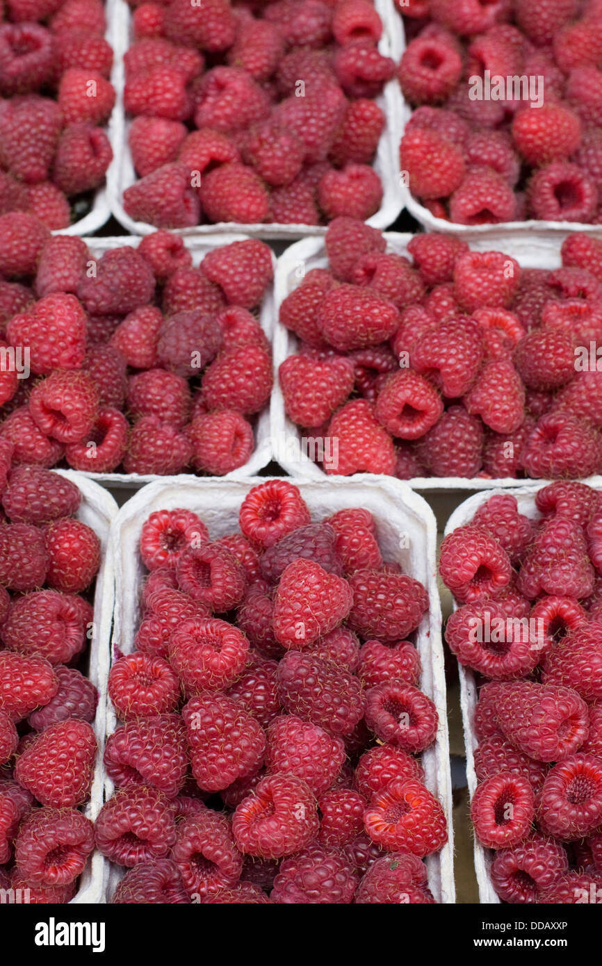 Berry containers hi-res stock photography and images - Alamy