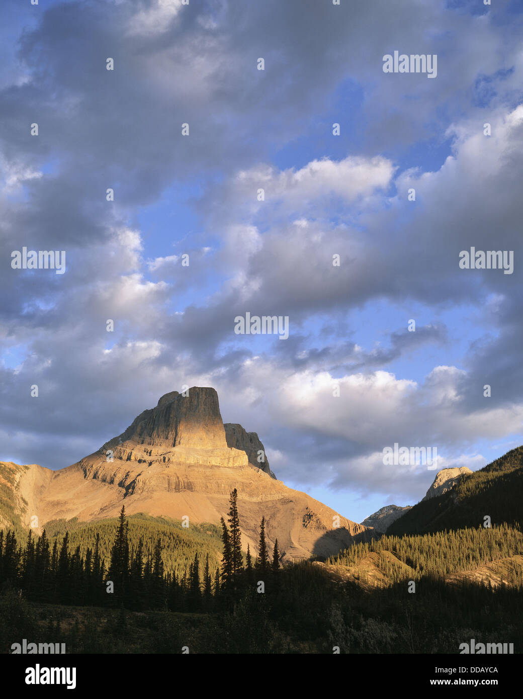 Roche Miette High Resolution Stock Photography and Images - Alamy