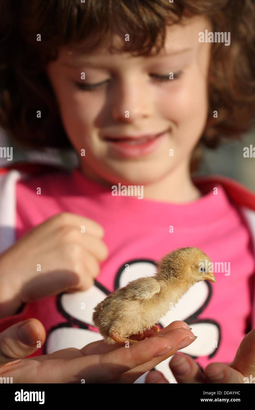 Girl with little chicken in hands Stock Photo - Alamy