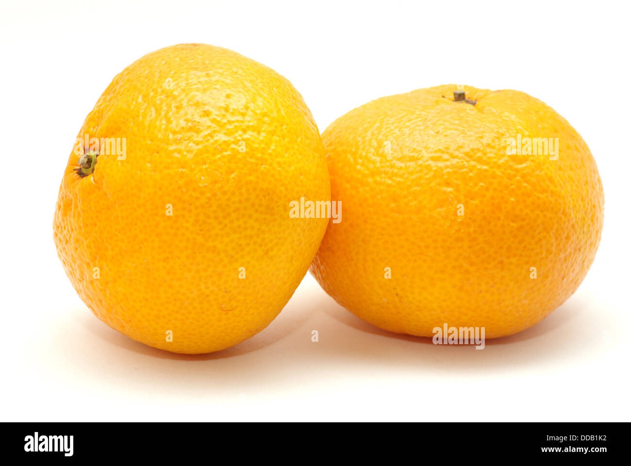 Healthy fresh mandarin citrus fruit hi-res stock photography and images ...