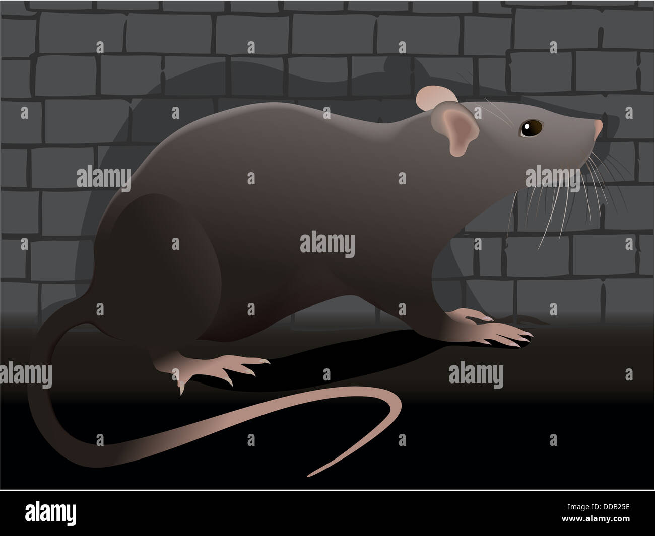 Skip rubbish illustration hi-res stock photography and images - Alamy