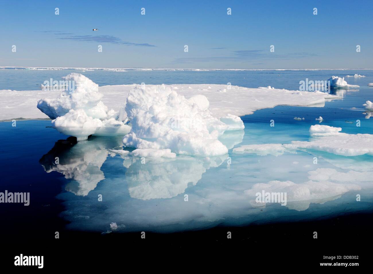Melting ice, Floe Edge, Arctic Bay, Baffin Island, Nunavut, Canada ... Melting ice, Floe Edge, Arctic Bay, Baffin Island, Nunavut, Canada ...