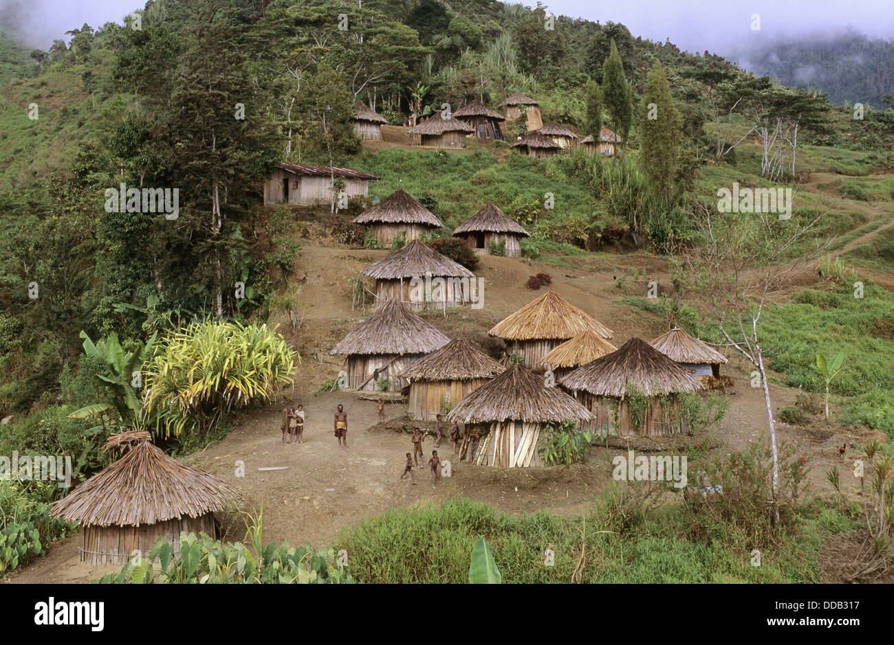 Yali tribe hi-res stock photography and images - Alamy