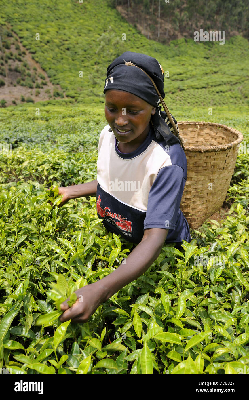 Work in africa hi-res stock photography and images - Alamy