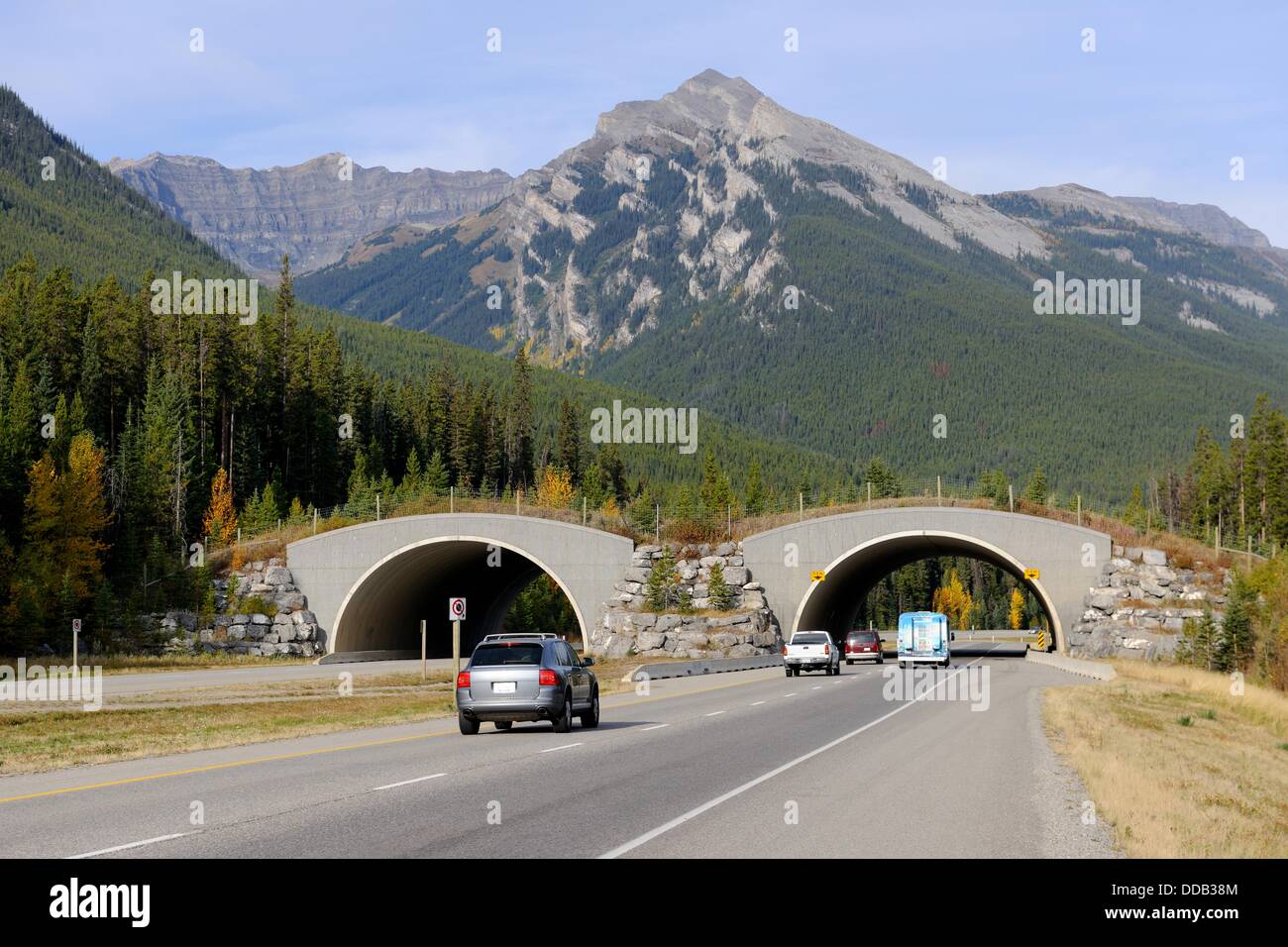 Wildlife Overpass High Resolution Stock Photography and Images - Alamy