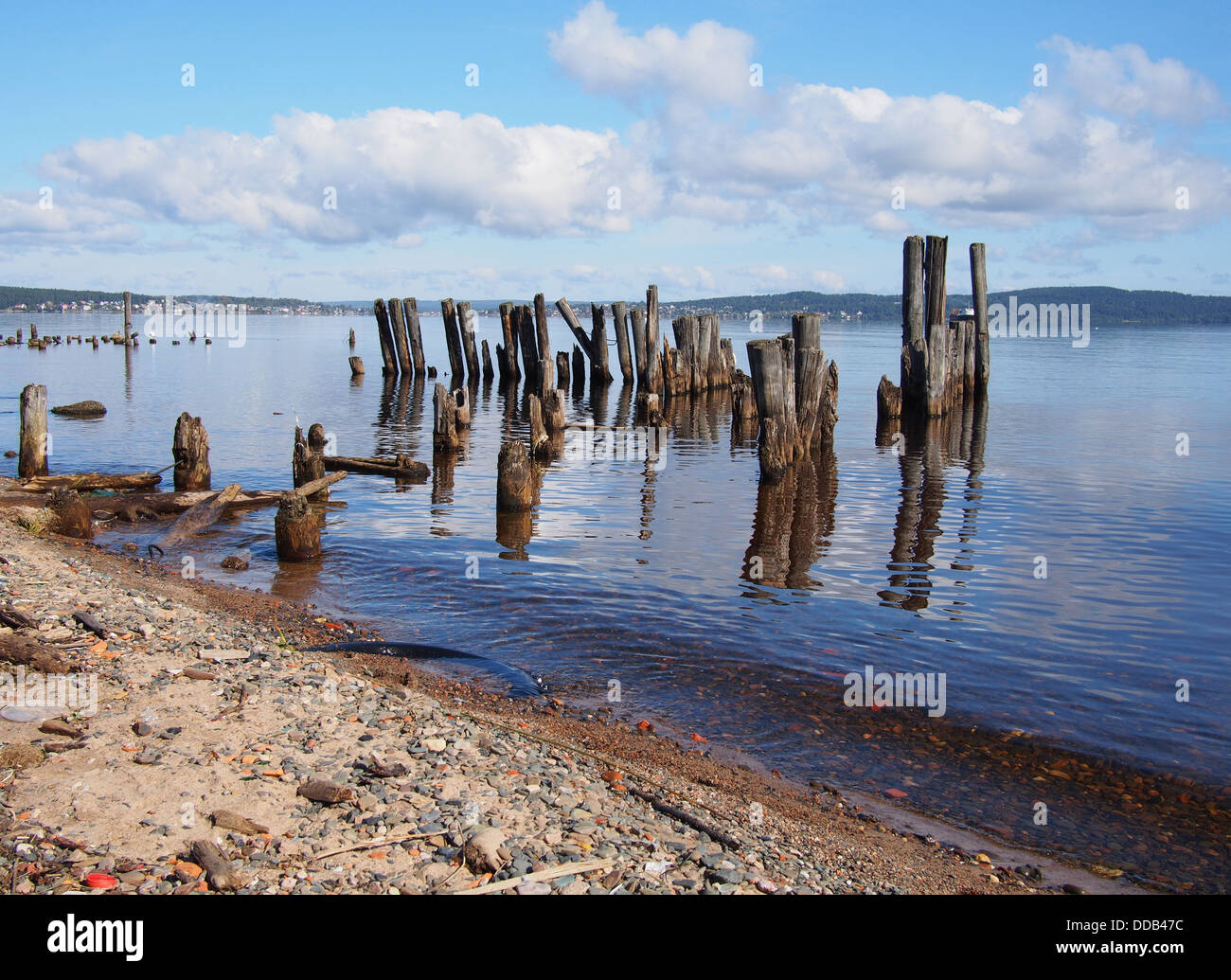 old piles in the lake Stock Photo - Alamy