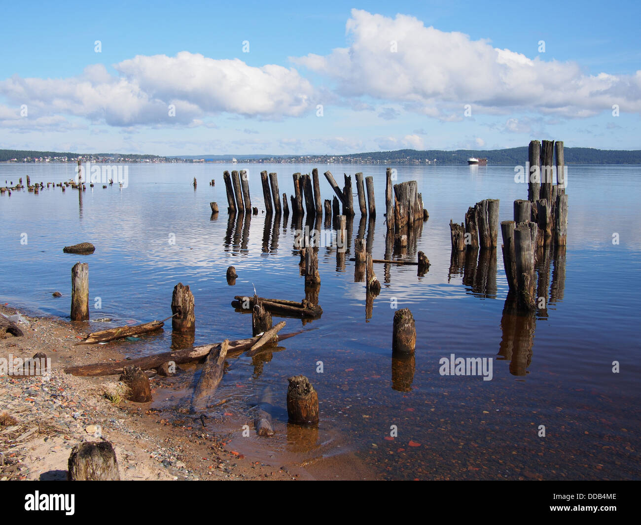 old piles in the lake Stock Photo - Alamy