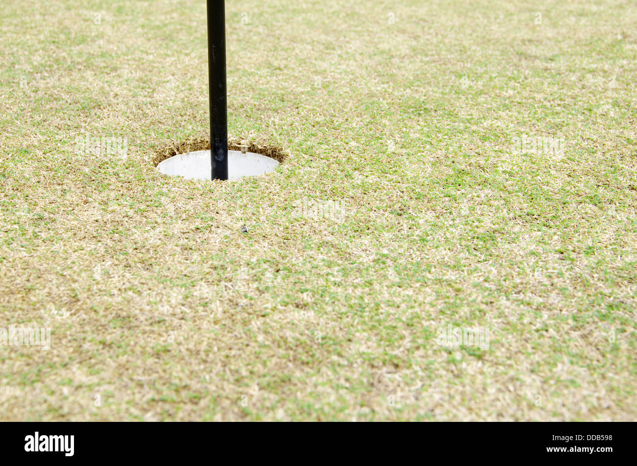 hole on the golf course Stock Photo - Alamy