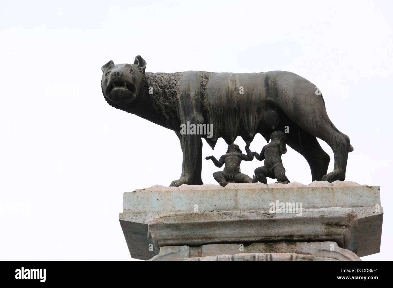 Roman she wolf hi-res stock photography and images - Alamy