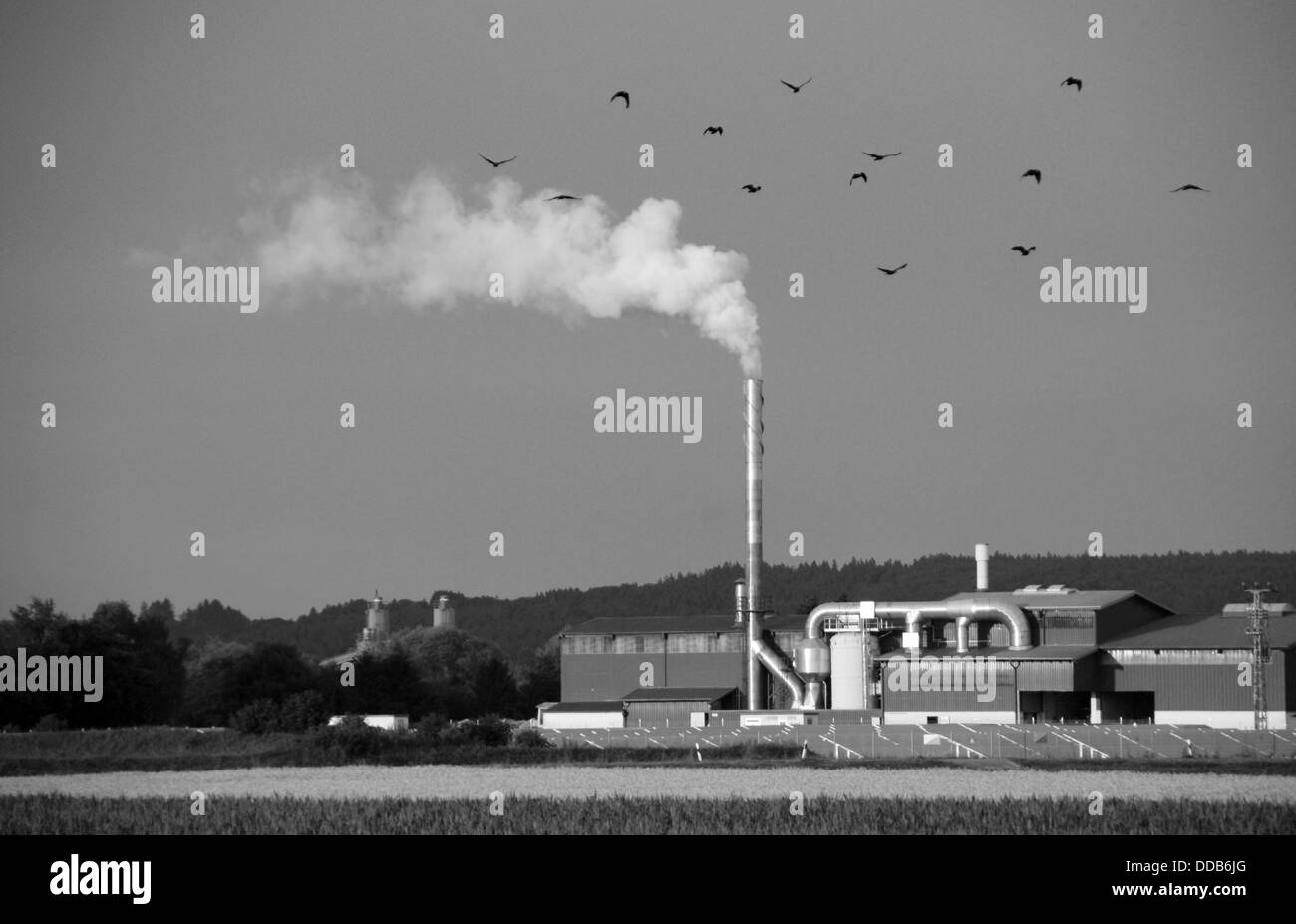 Forage drying plant in Bavaria Stock Photo - Alamy