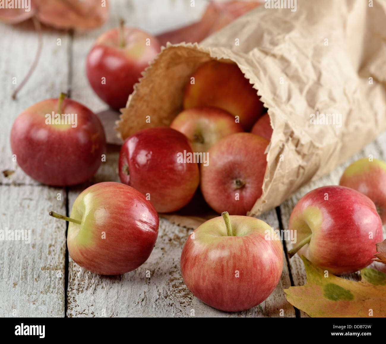 Harvest apples in paper hi-res stock photography and images - Alamy