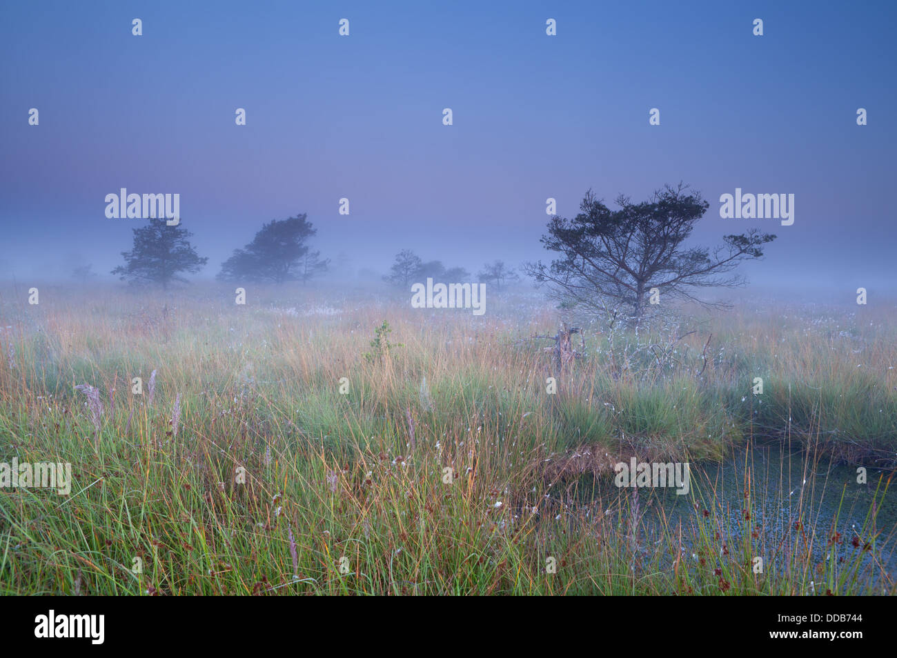 Dense fog over lake hi-res stock photography and images - Alamy