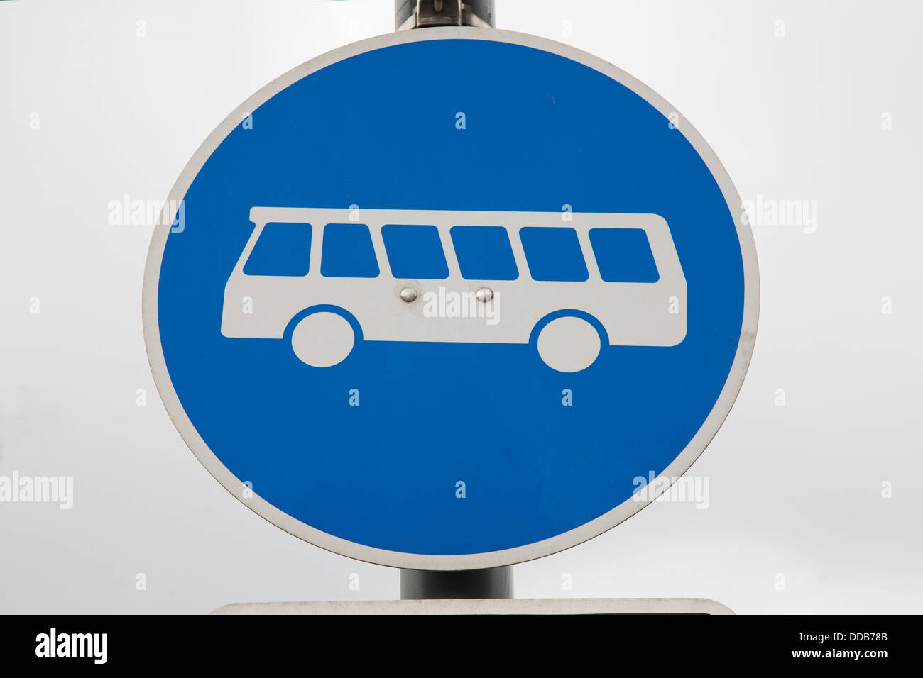 Blue Bus Sign on White Background Stock Photo - Alamy