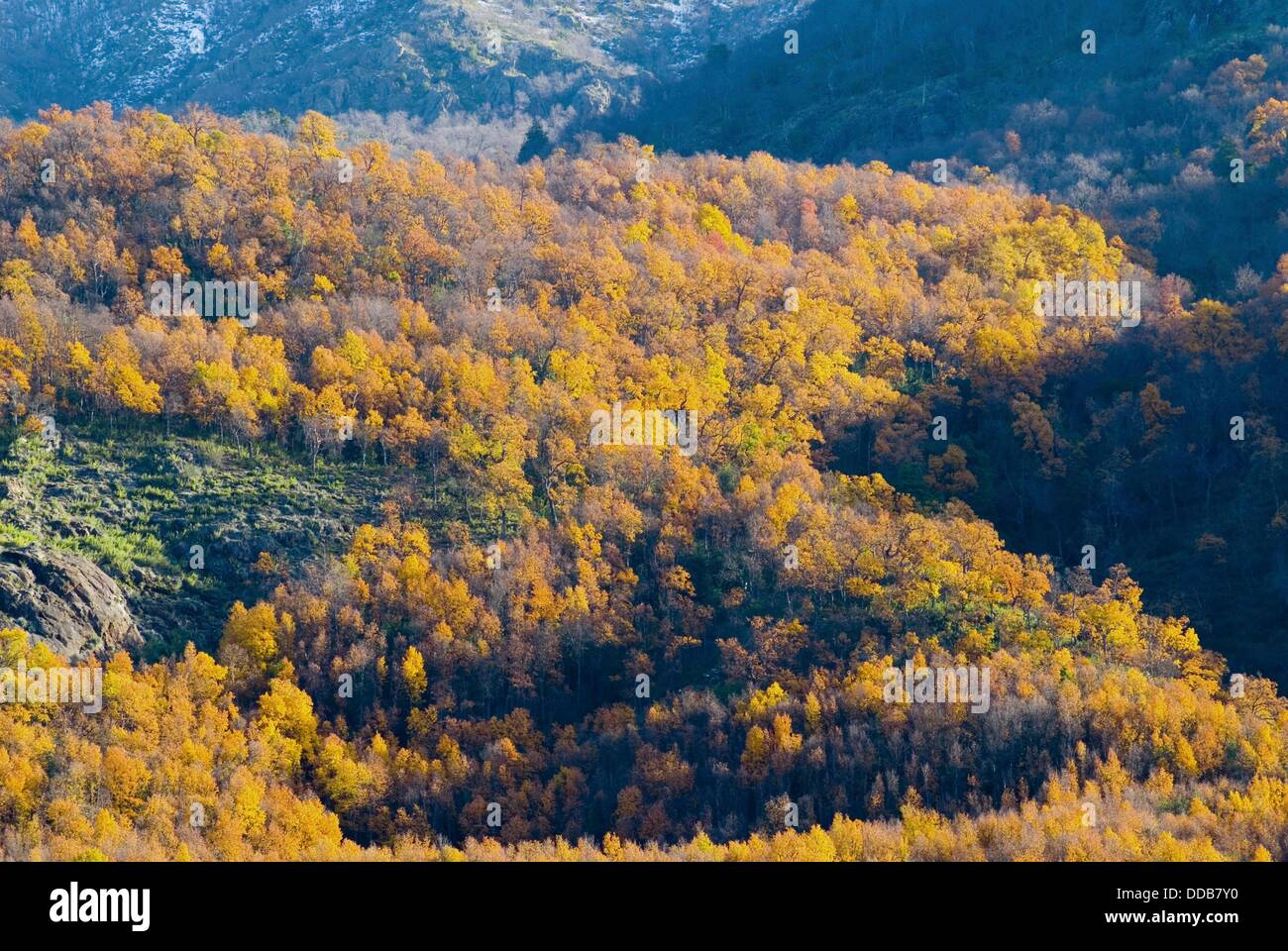 Talca province hi-res stock photography and images - Alamy