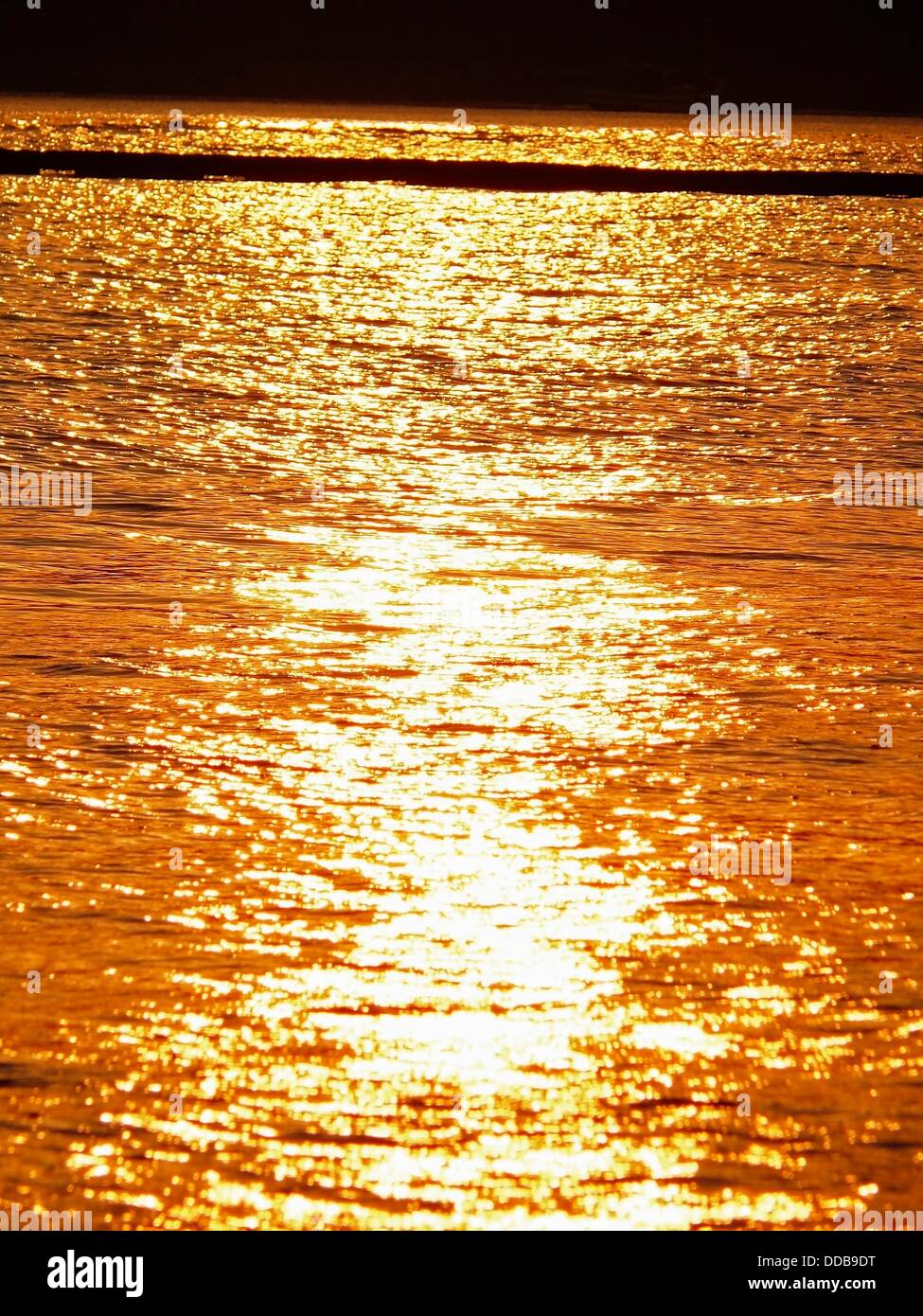 Gold tetra hi-res stock photography and images - Alamy