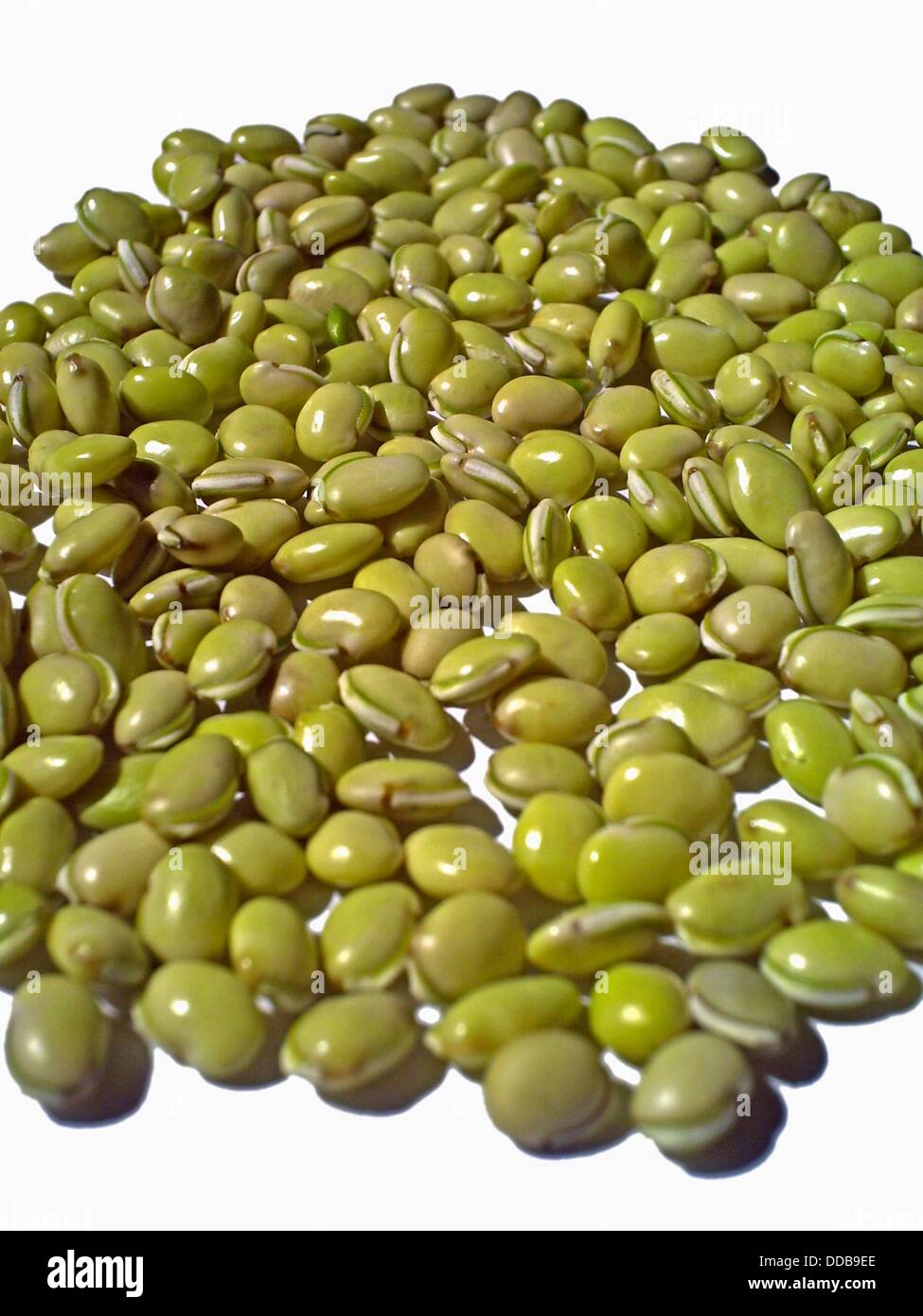 Lablab niger hi-res stock photography and images - Alamy