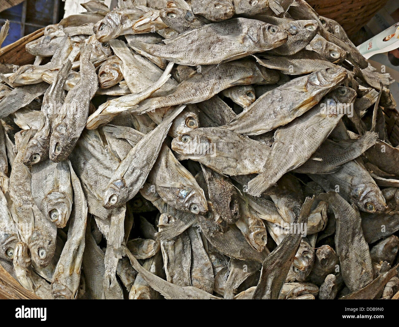 Ratnagiri beach maharashtra india hi-res stock photography and images ...