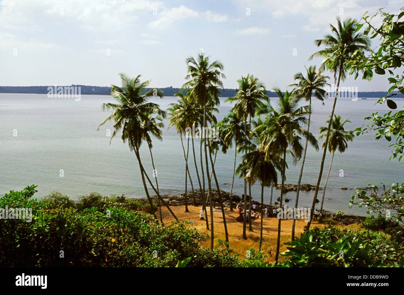 Shirdona hi-res stock photography and images - Alamy