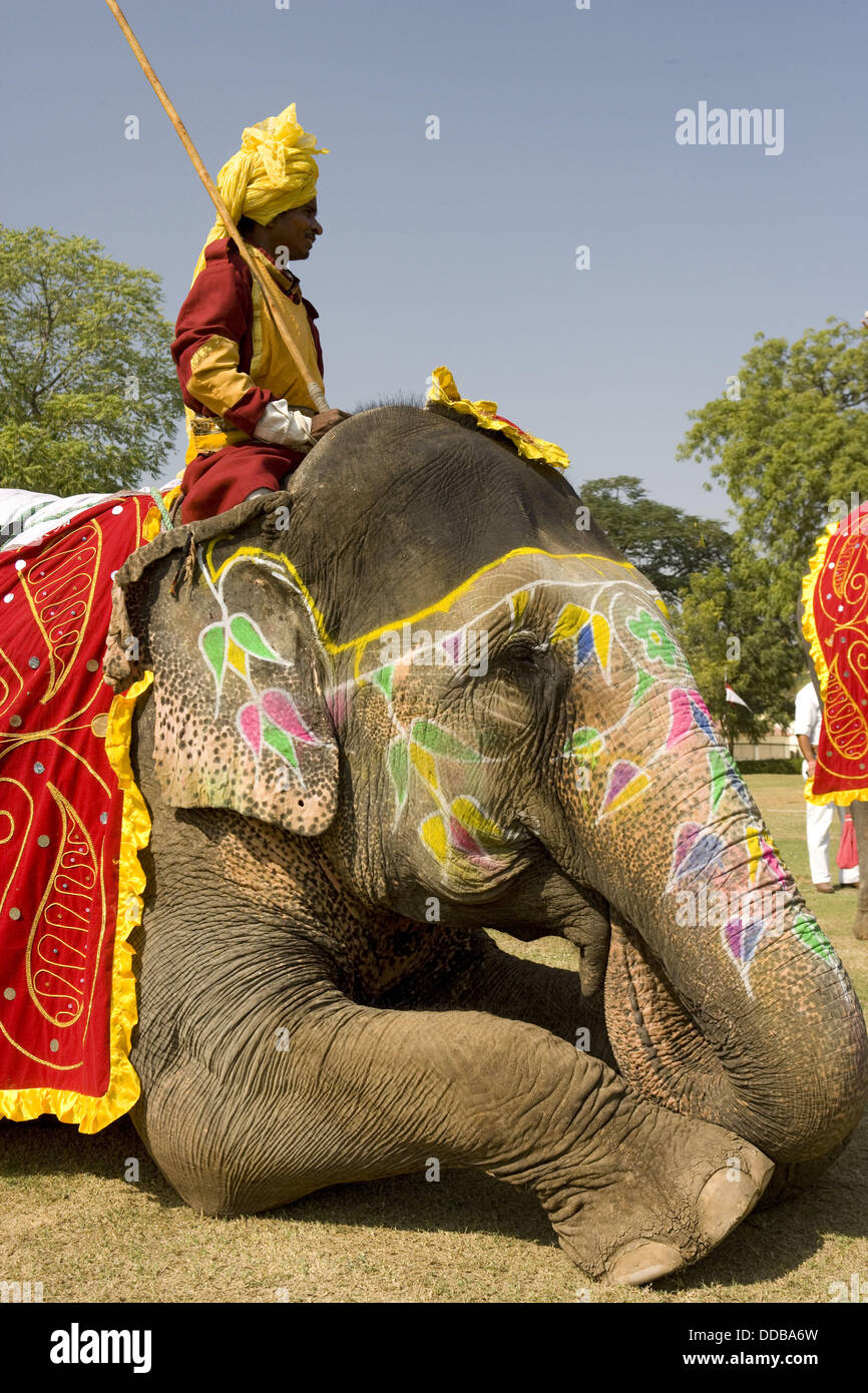 India traditional festival elephant hi-res stock photography and images ...